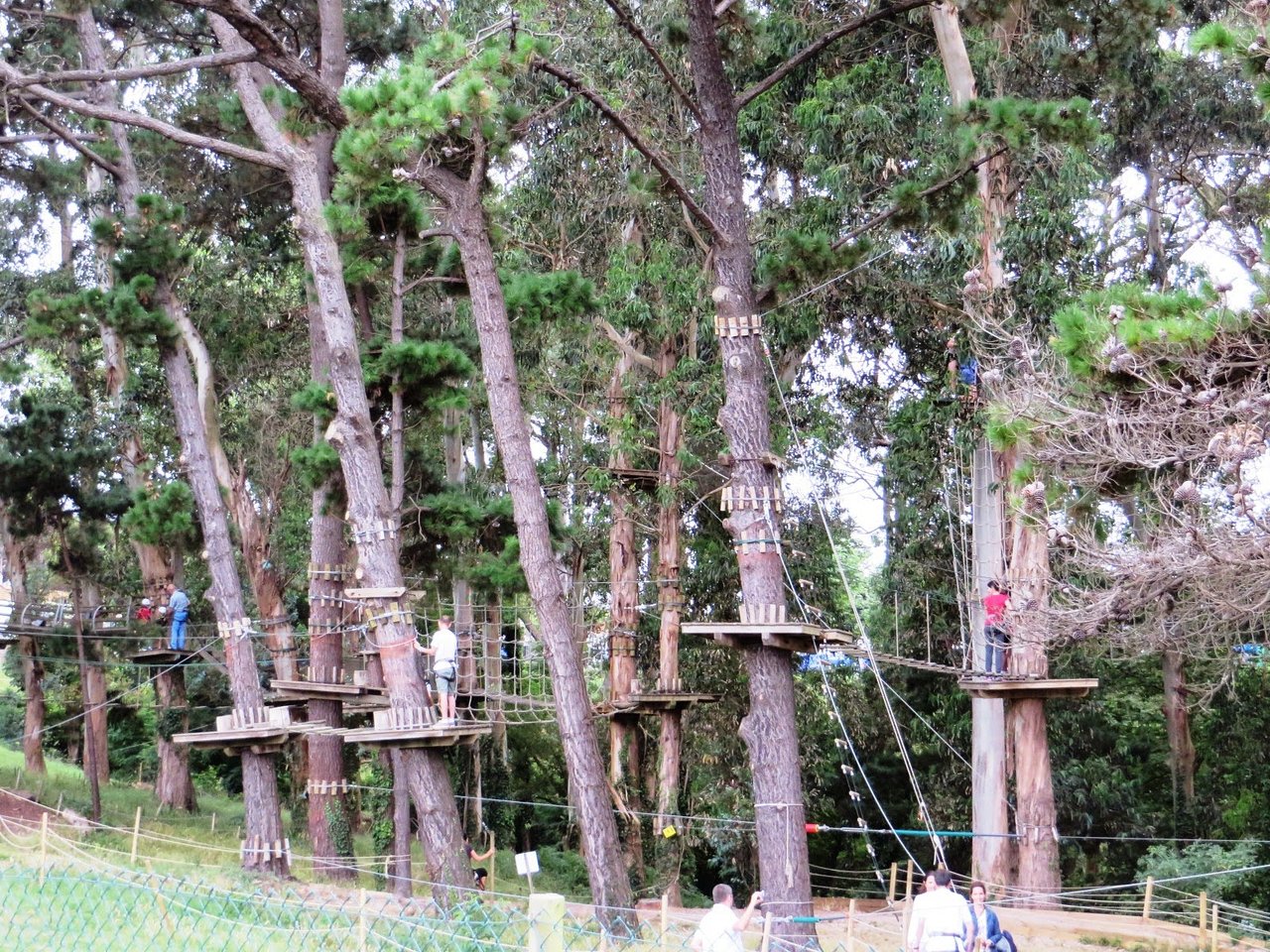 TOP 6 Mejores Parques de Aventura y Tirolinas en Cantabria - Acanta
